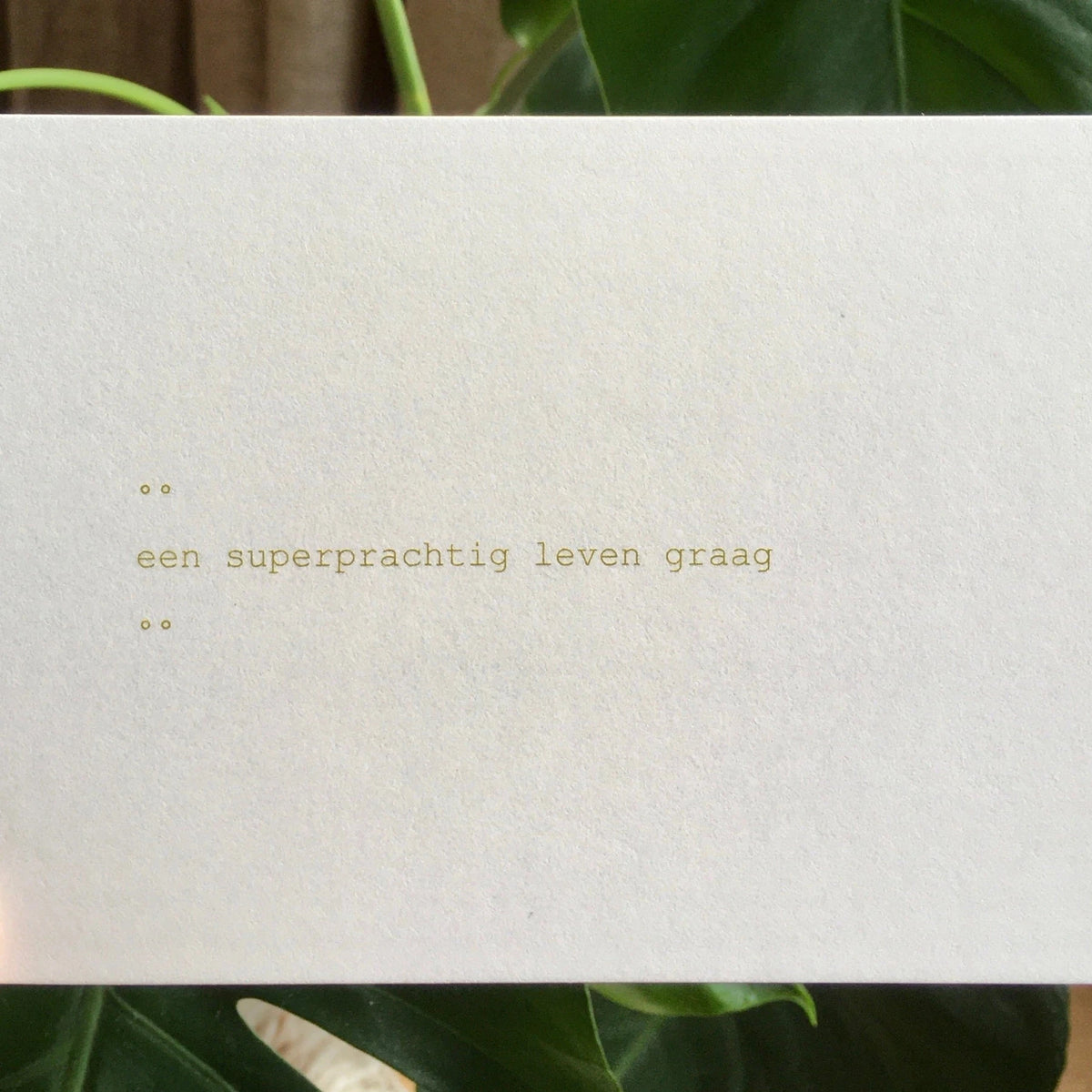 Ruth Van de steene Card #31 - superprachtig leven – HOST concept